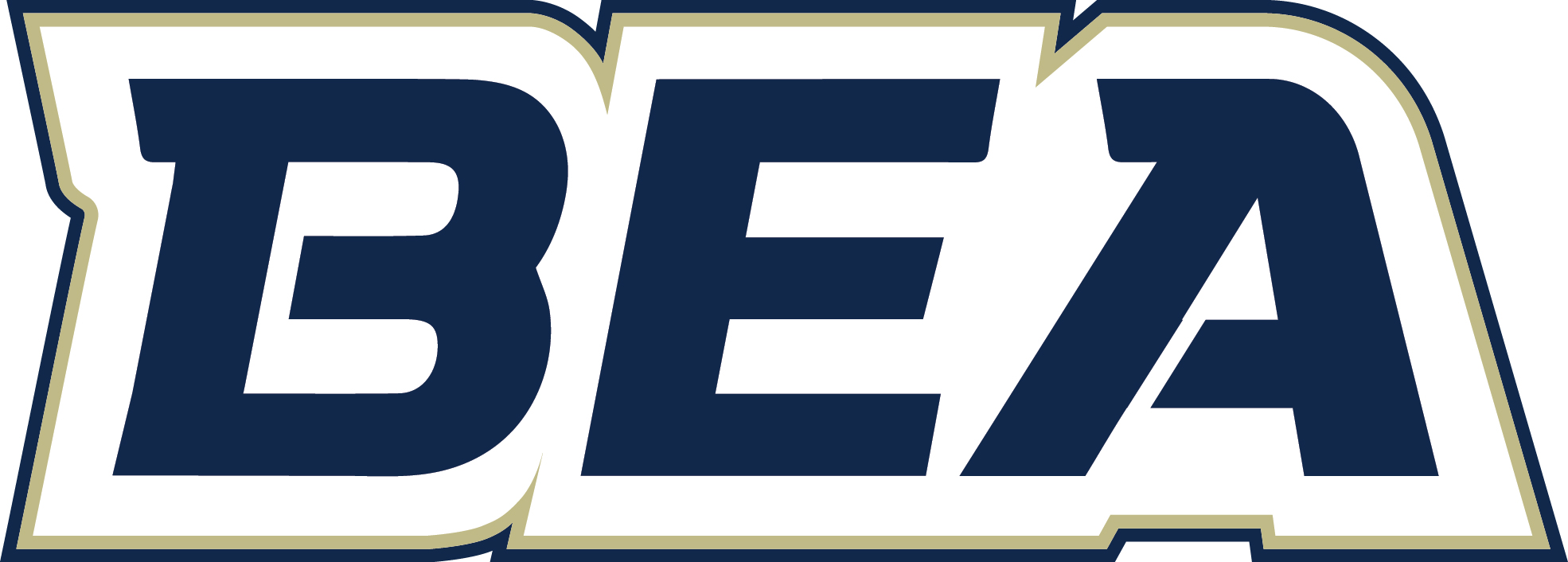 Documents | BALD EAGLE AREA SCHOOL DISTRICT