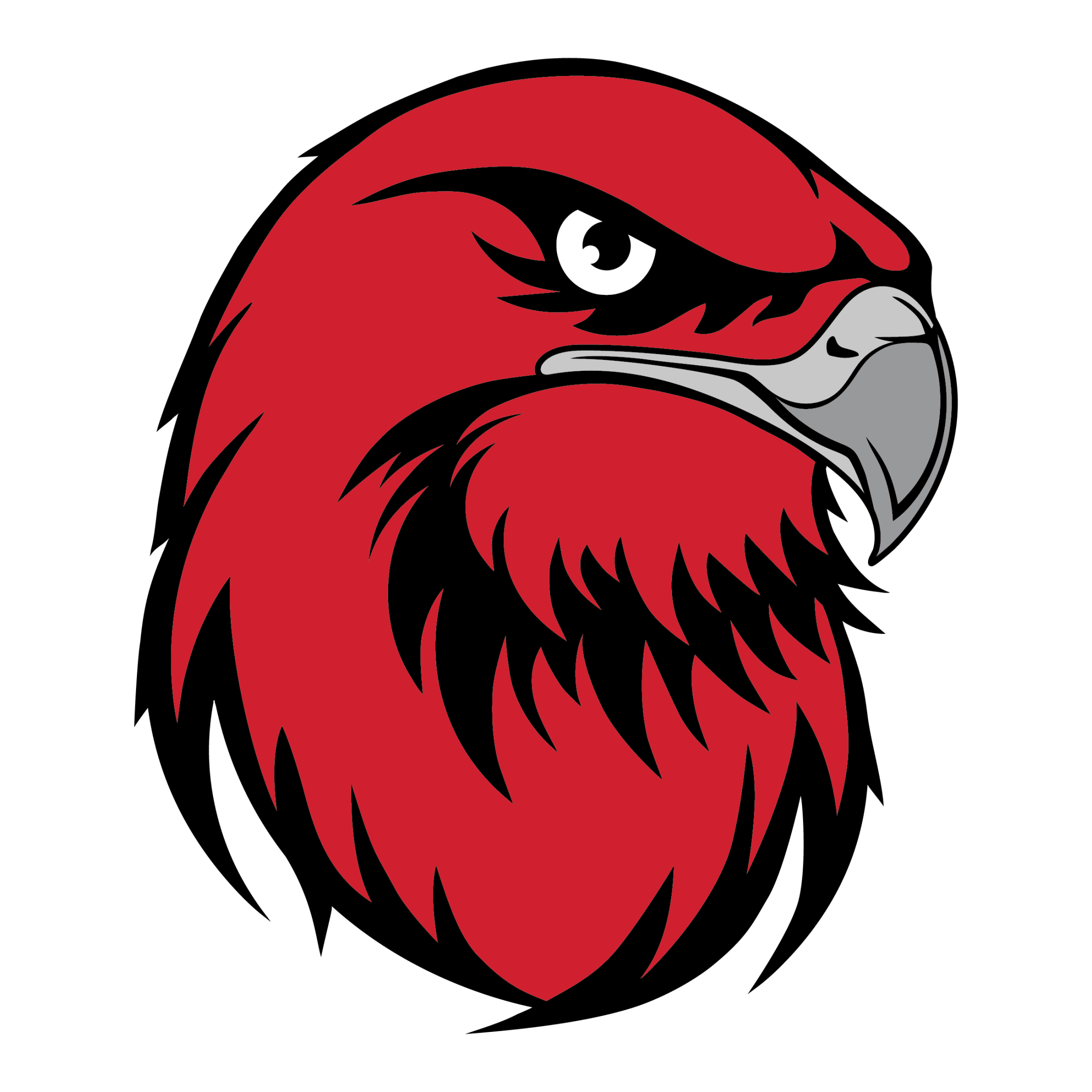 Documents | Bountiful High