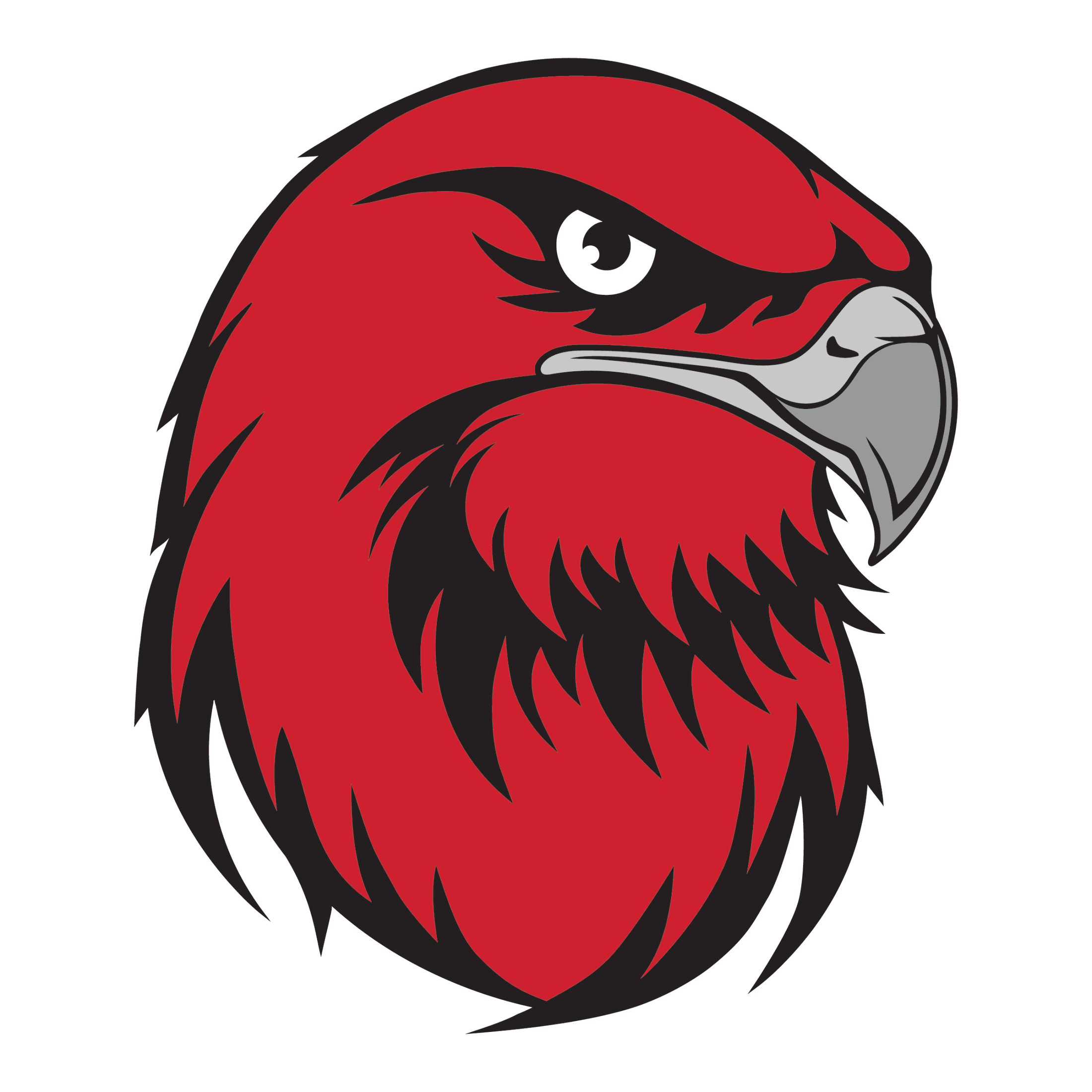 Documents | Bountiful High