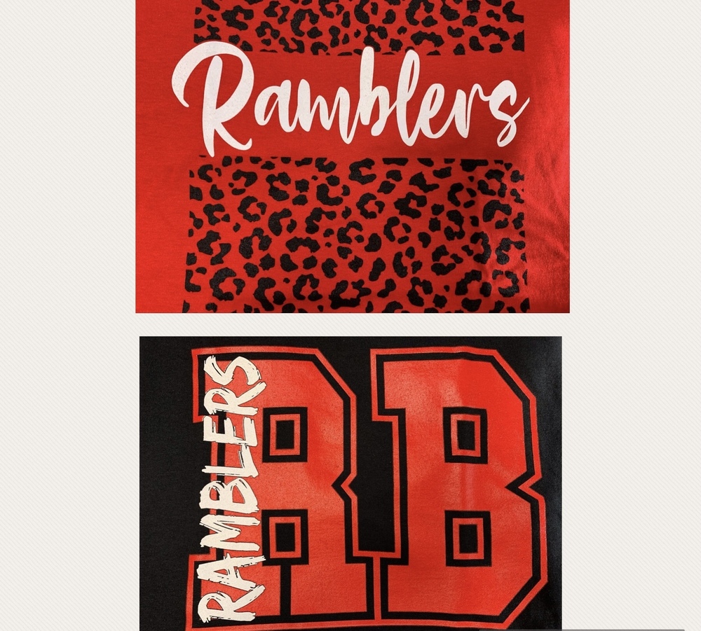 Rose Bud School District